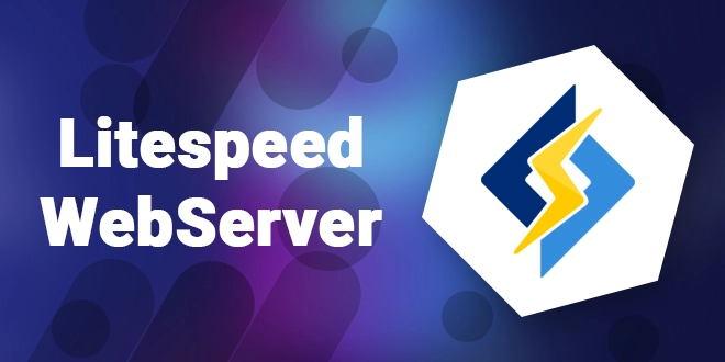 LiteSpeed Web Hosting - Fast Deployment - Hyper Layer